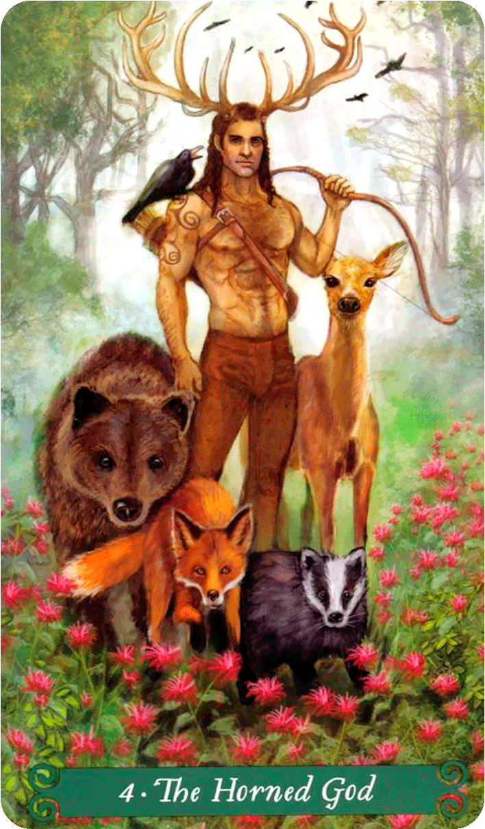 TOP 10: Os baralhos de Tarot mais lindos do mundo | Pri Ferraz / Diário ... TOP 10: Os baralhos de Tarot mais lindos do mundo | Pri Ferraz / Diário ...